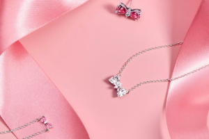 PANDORA PANDORA Moments Silver Charm/ 797462